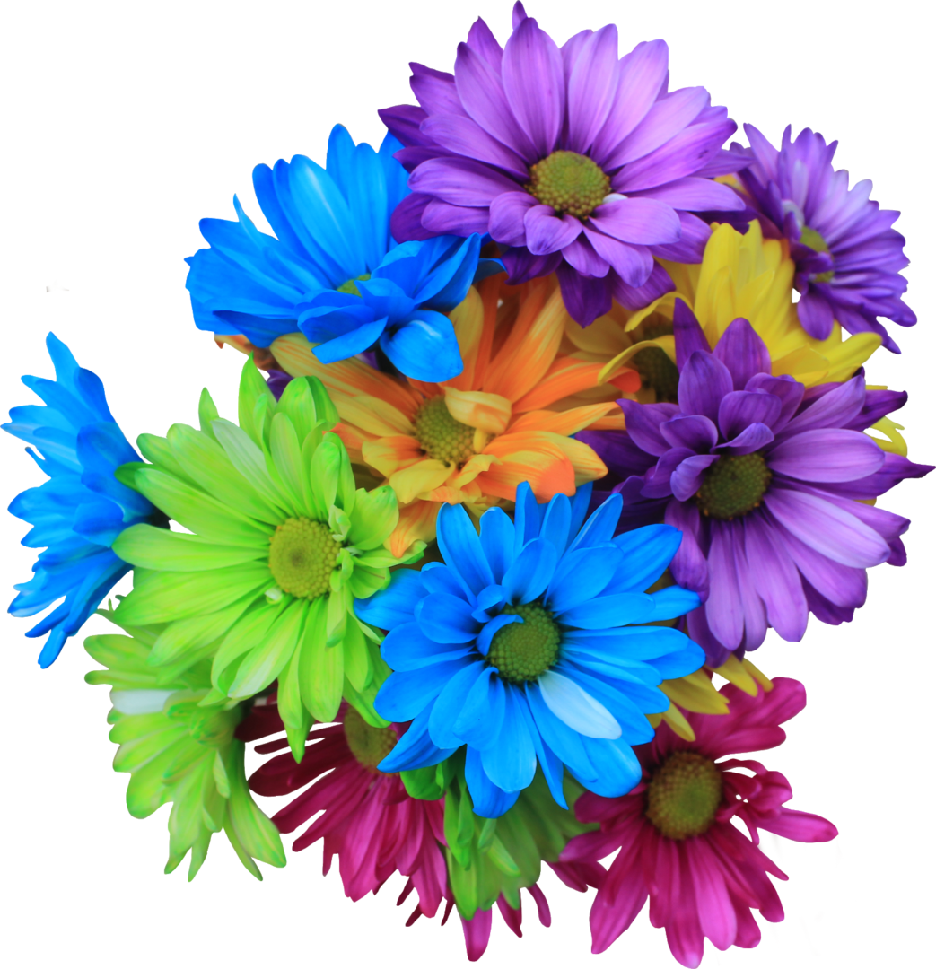 Цветы пнг (130 картинок на прозрачном фоне)