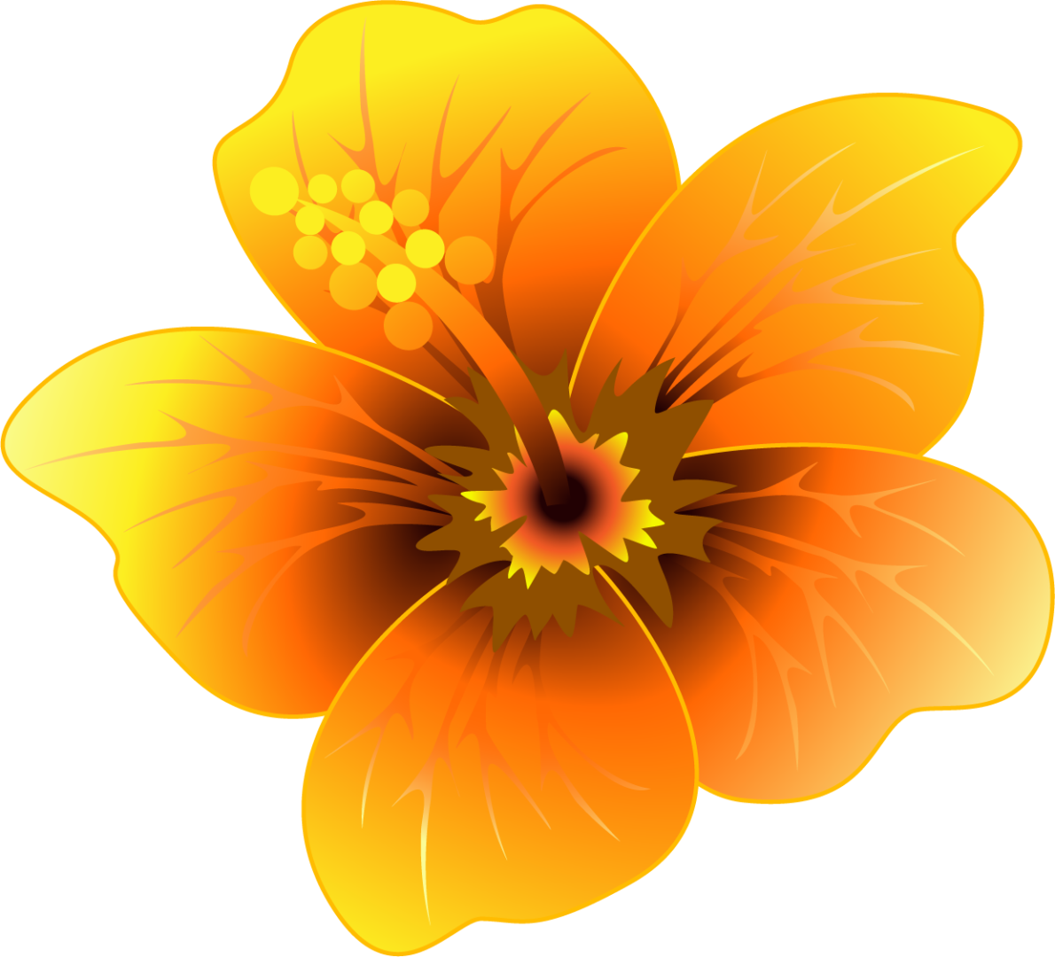 Цветы пнг (130 картинок на прозрачном фоне)