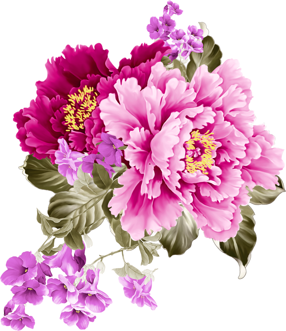 Цветы пнг (130 картинок на прозрачном фоне)